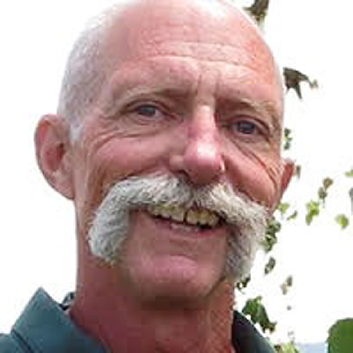 Grape specialist earns excellence in IPM award | News, Sports, Jobs ...